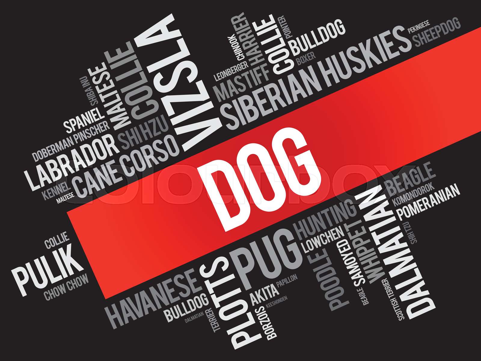 List Of Most Popular Dog Breeds Word Cloud Stock Vector Colourbox list-of-most-popular-dog-breeds-word-cloud-stock-vector-colourbox