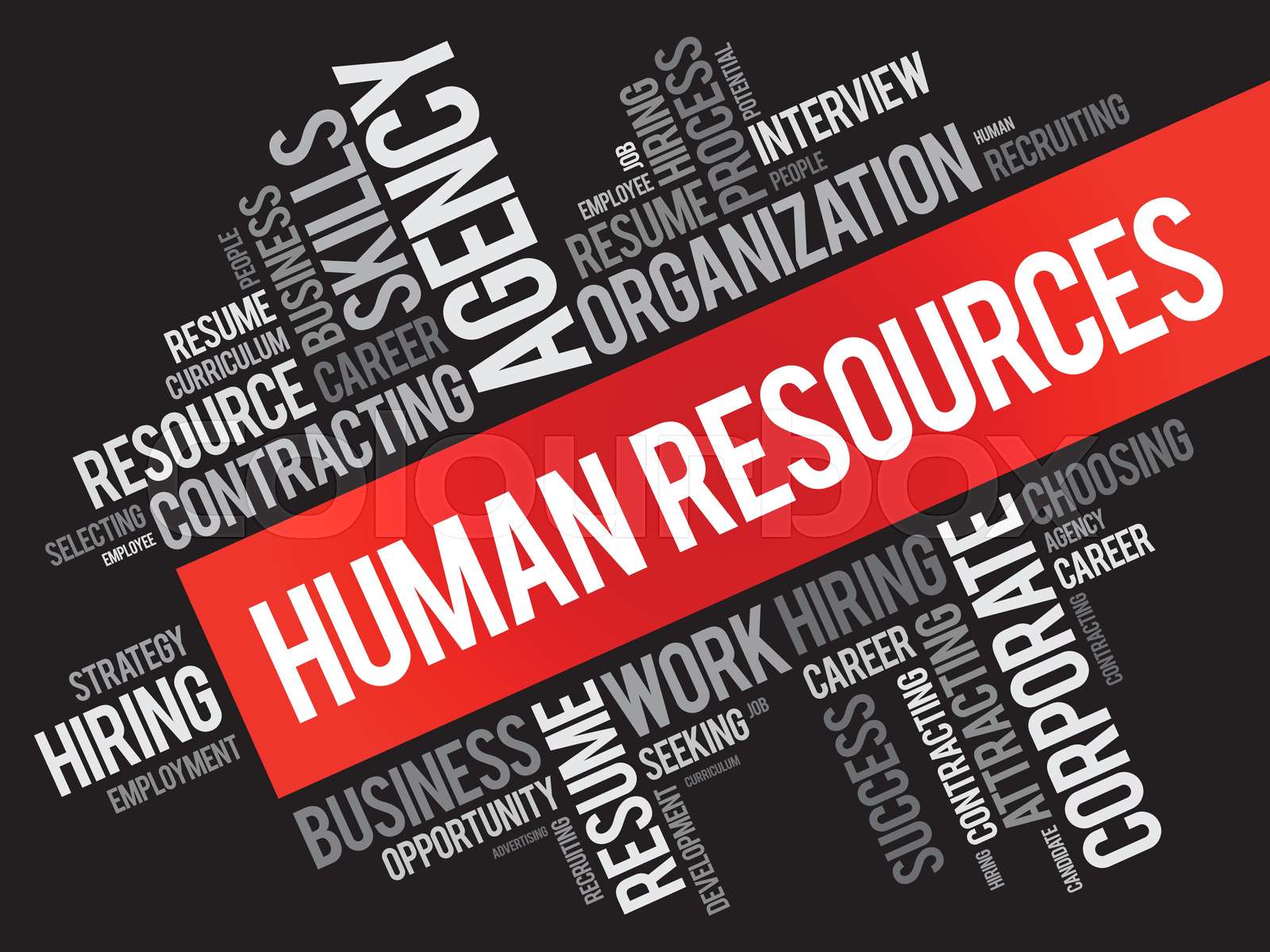 HR - Human Resources word cloud collage | Stock vector | Colourbox