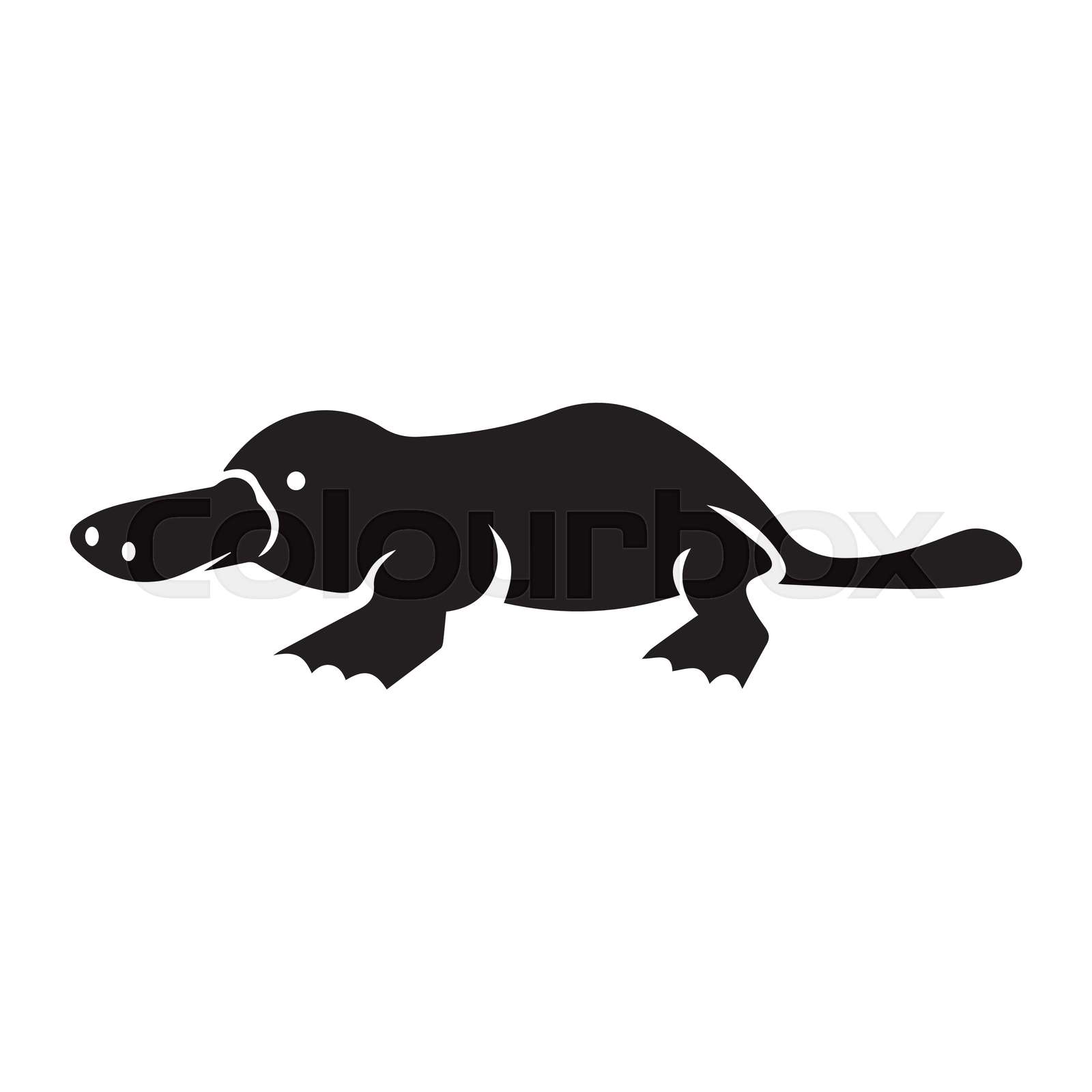 Platypus Icon Vector | Stock vector | Colourbox