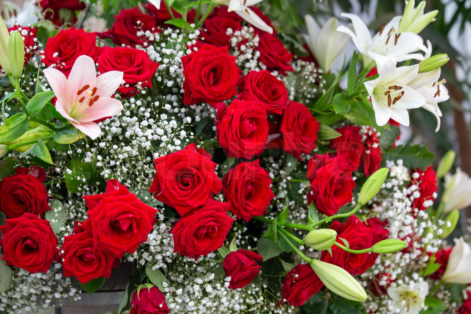 Strauß mit roten Rosen und Lilien mit Schleierkraut | Stock Bild ...