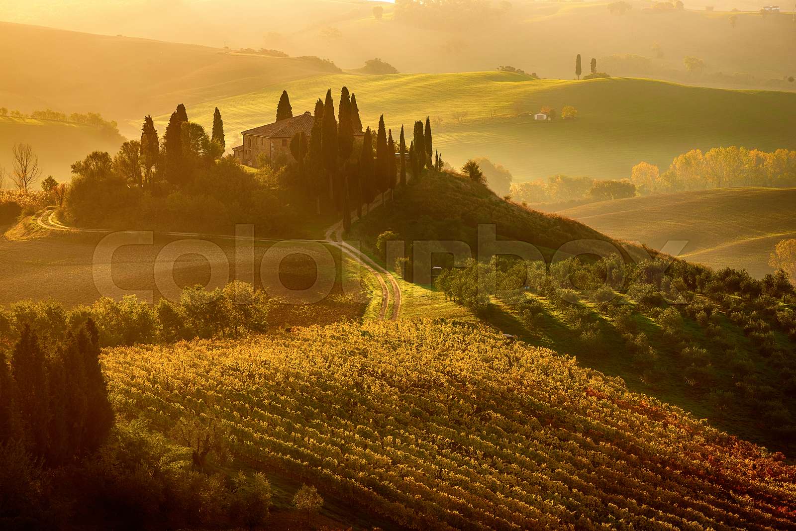 Sunrise in Italy | Stock image | Colourbox