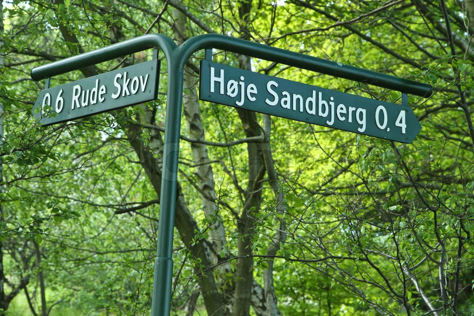 Høje Sandbjerg | Stock image | Colourbox