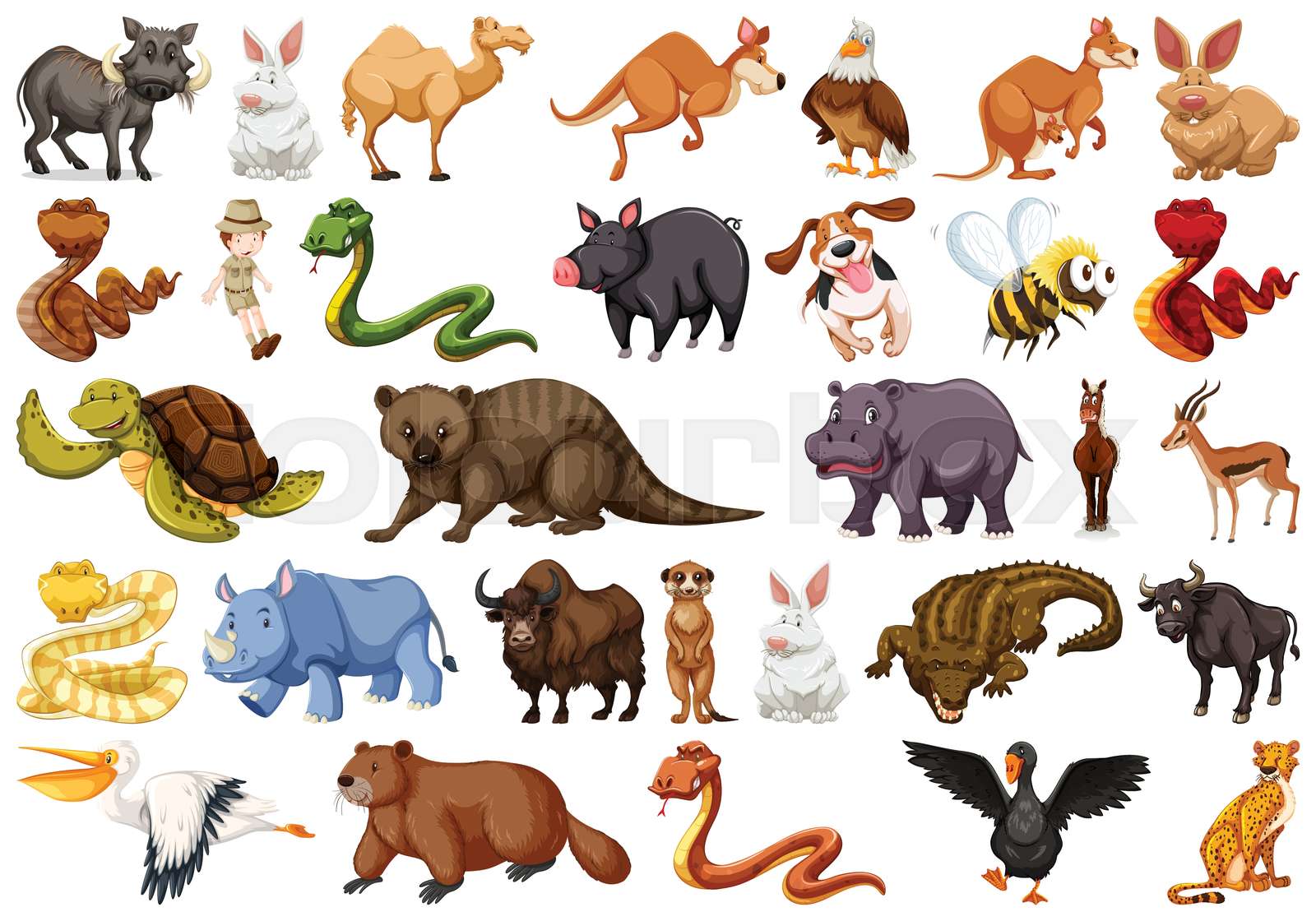 Set of wild animals | Stock vector | Colourbox
