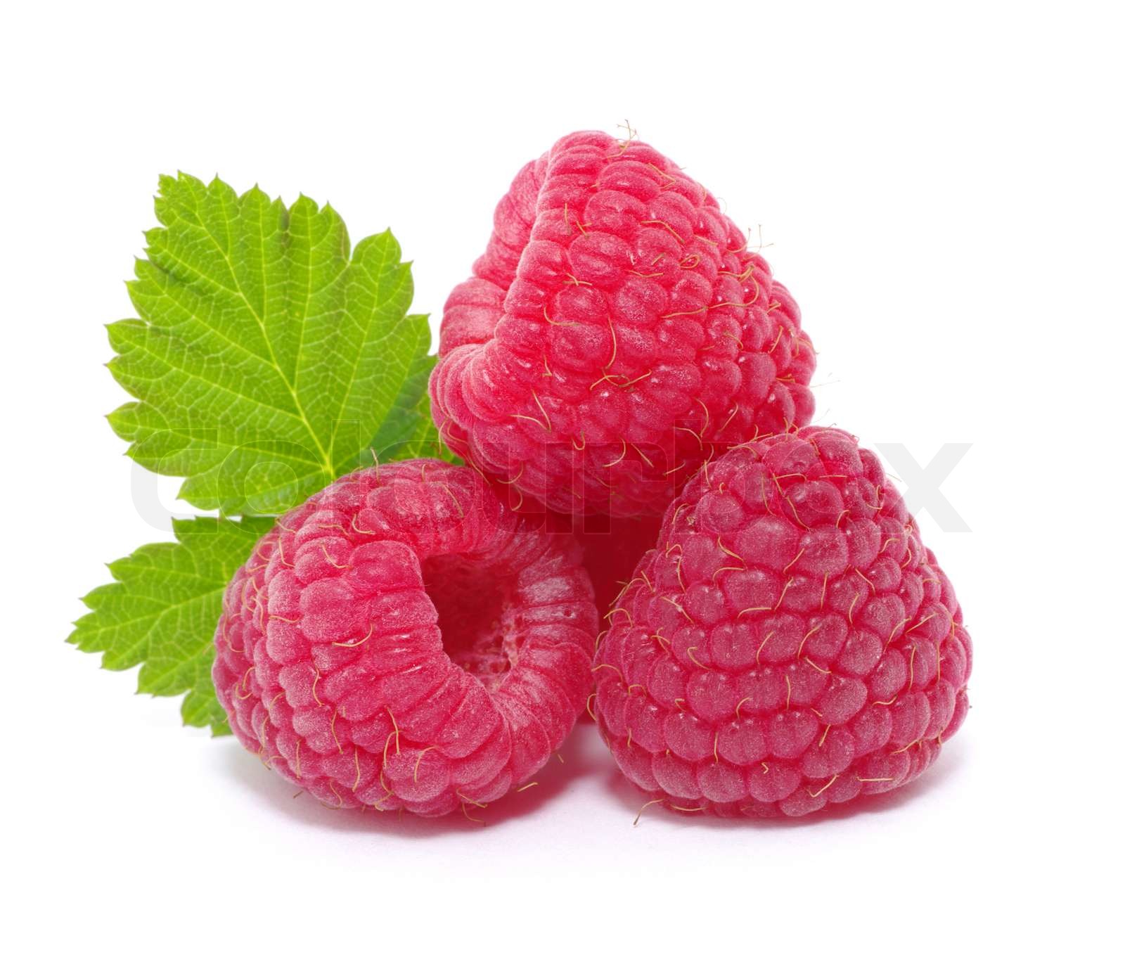 Raspberry | Stock image | Colourbox