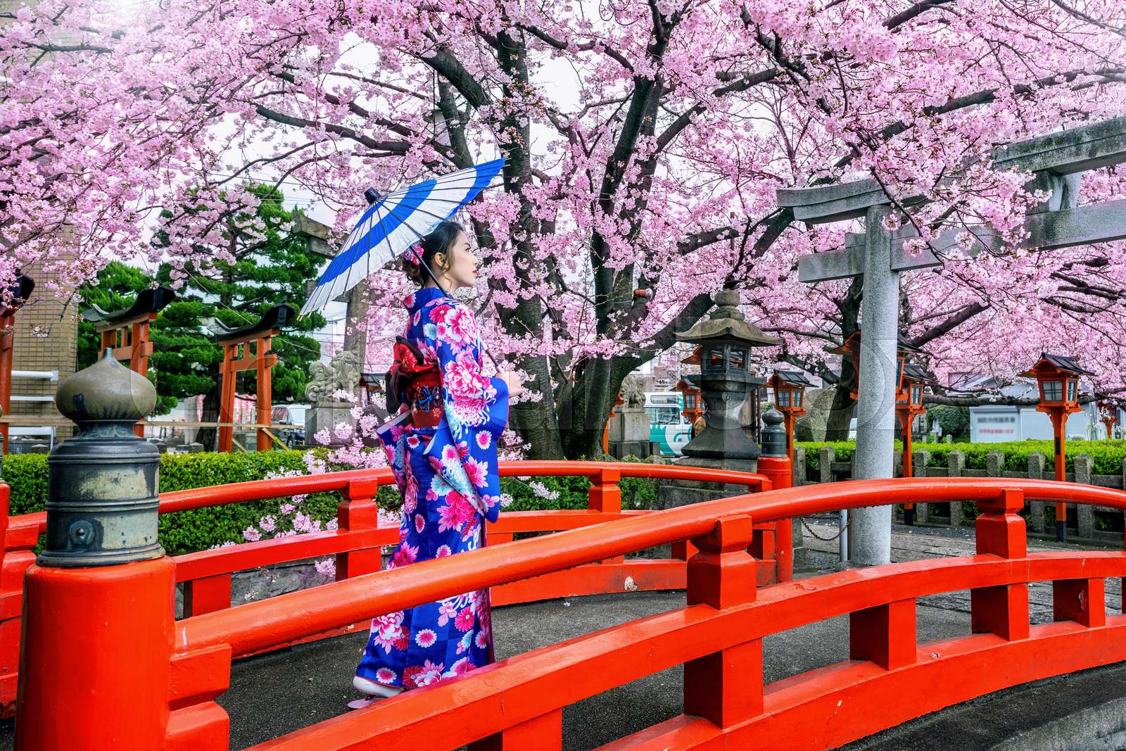 Cherry Blossom Kimono