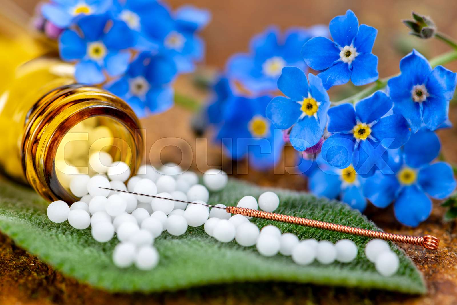 Alternativmedizin und Naturmedizin | Stock image | Colourbox