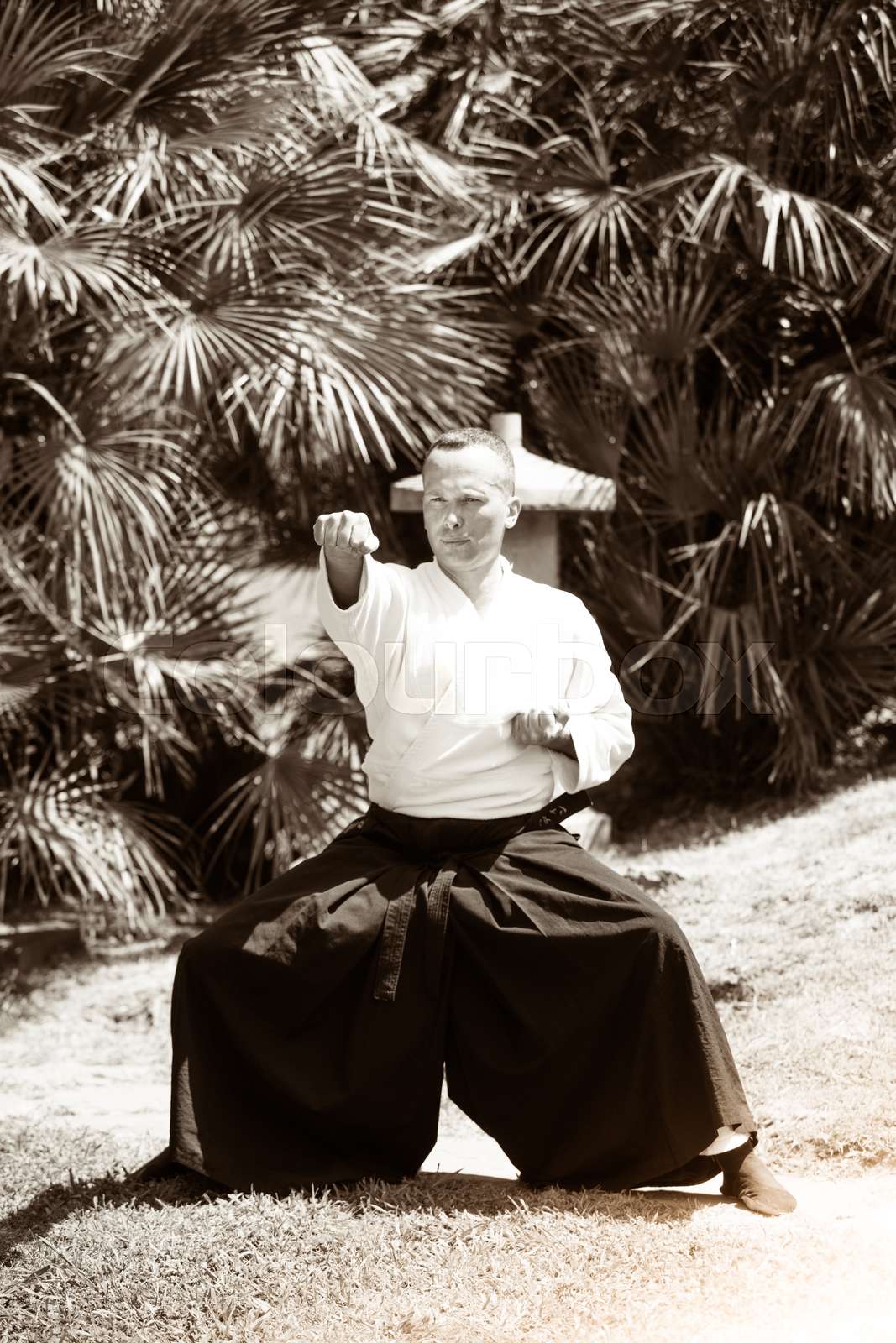 Aikido master wearing kimono with black belt | Stock image | Colourbox