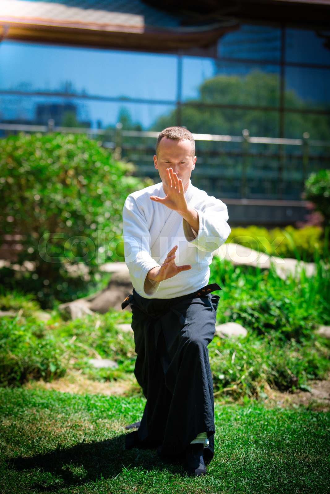 Young serious man aikido master in traditional costume | Stock image ...