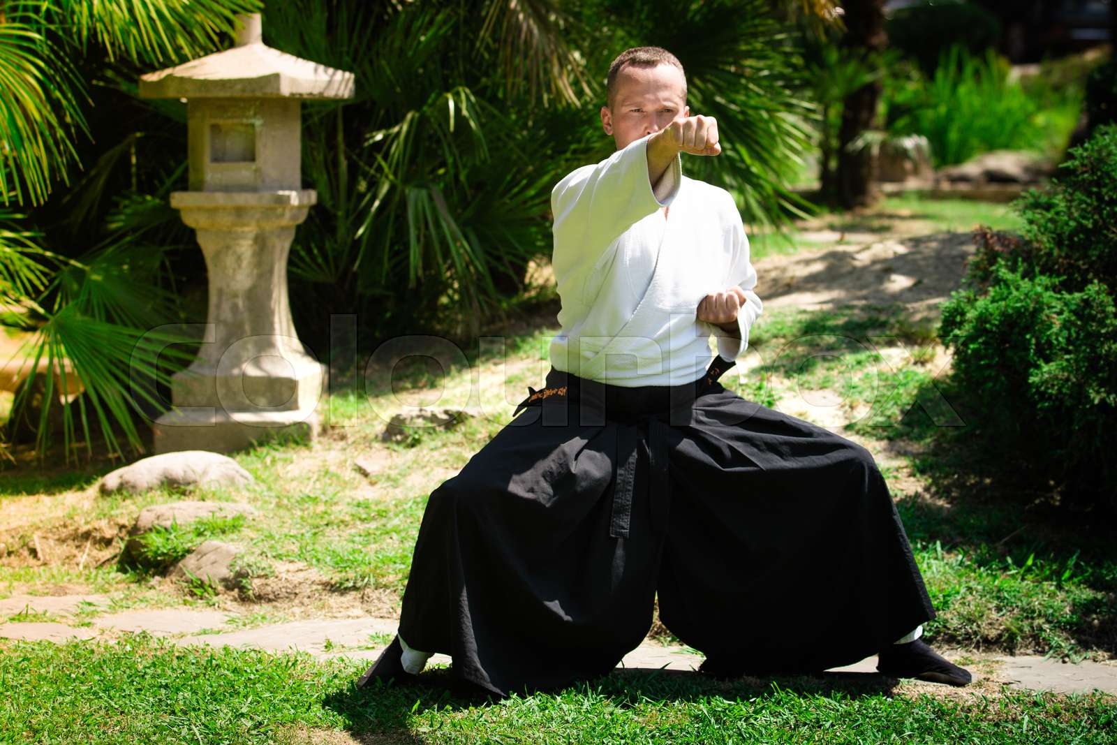 Young serious man aikido master in traditional costume | Stock image ...