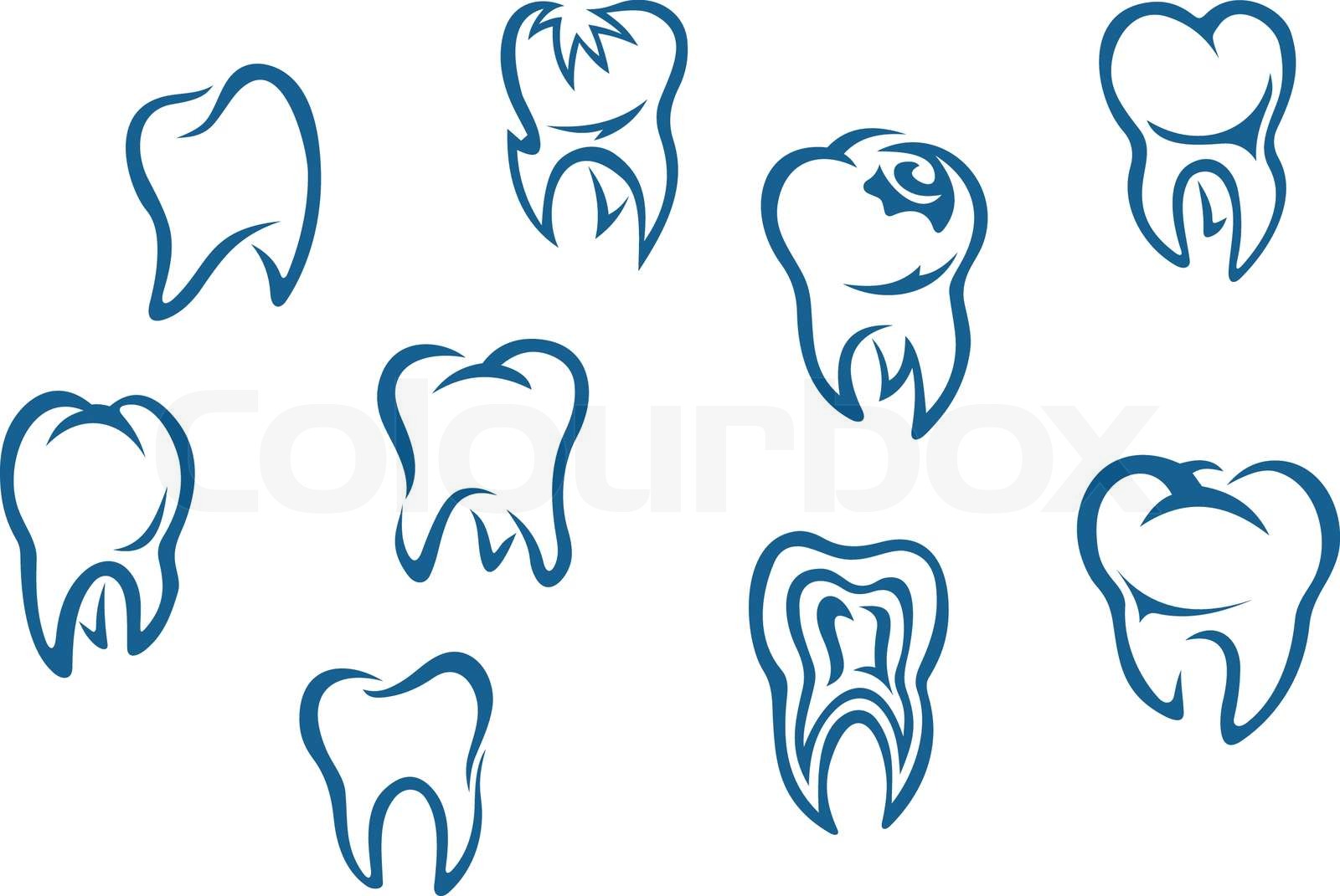 Human teeth set | Stock vector | Colourbox