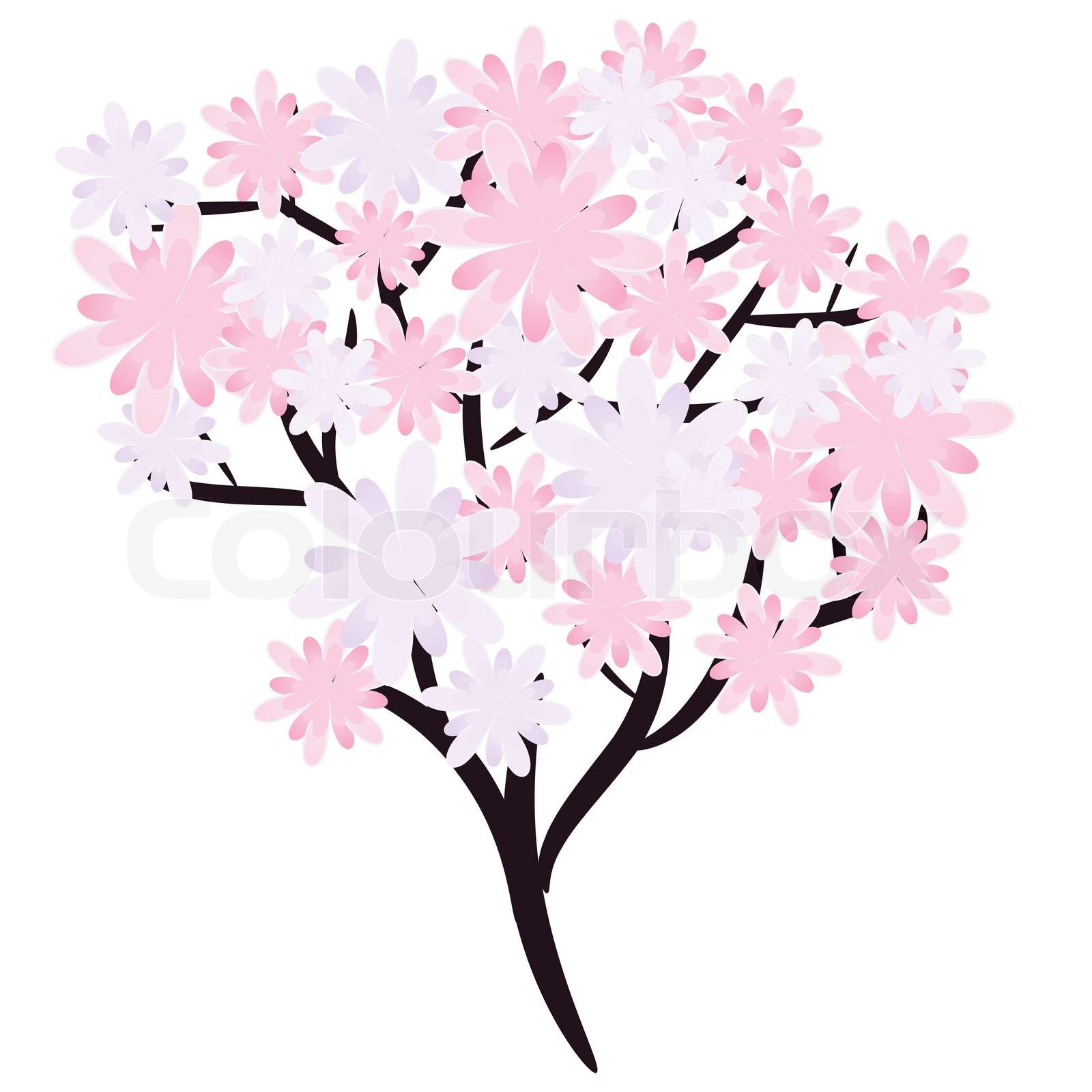 Flowering spring tree illustration | Stock vector | Colourbox