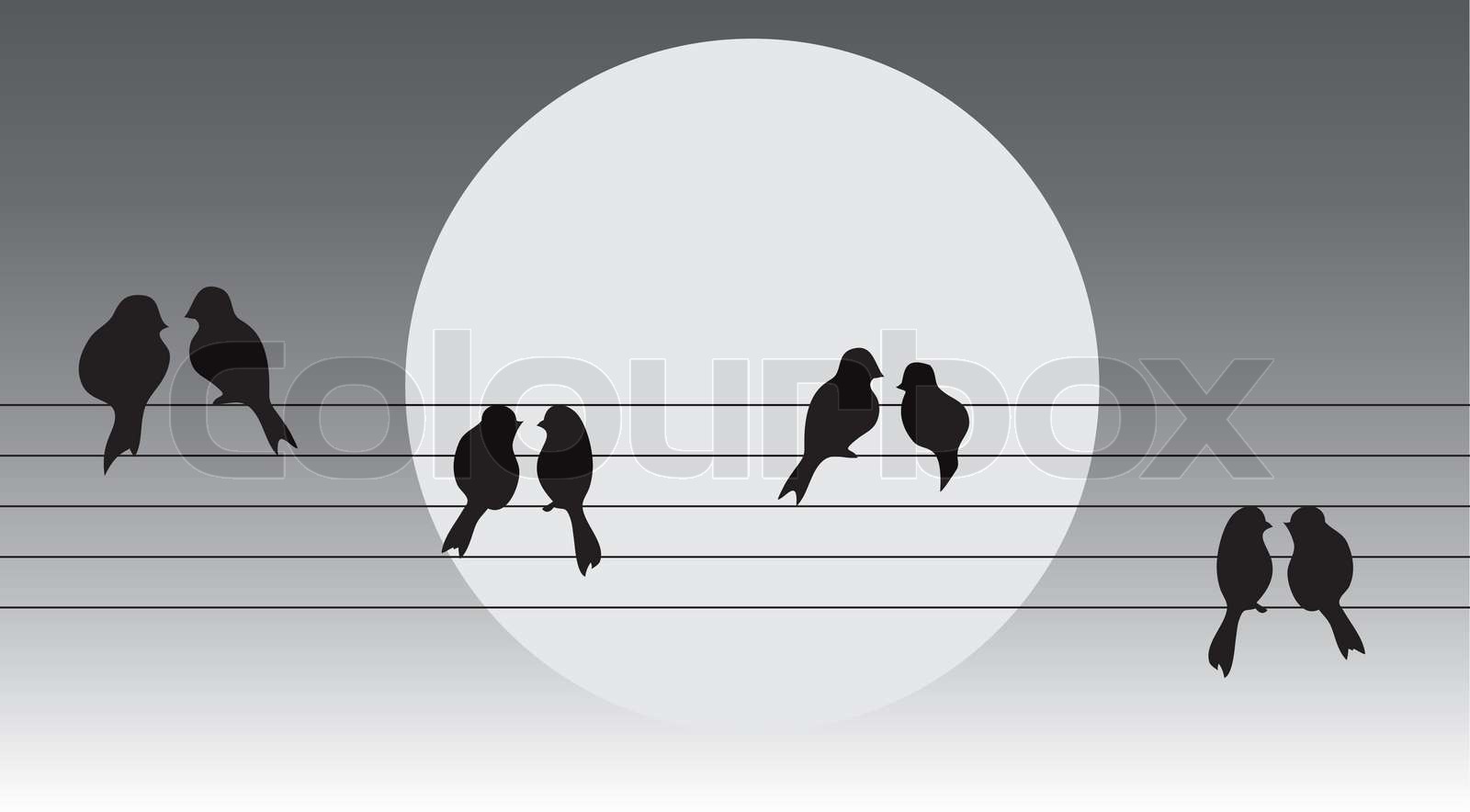 "Vector birds" | Stock vector | Colourbox