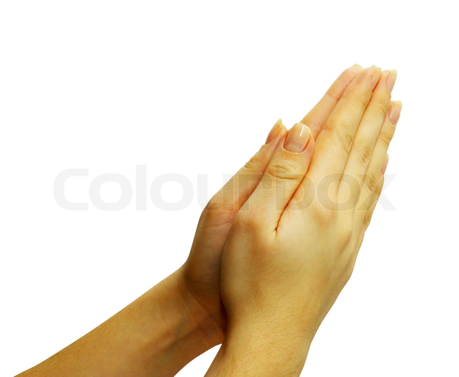 hands in prayer | Stock image | Colourbox