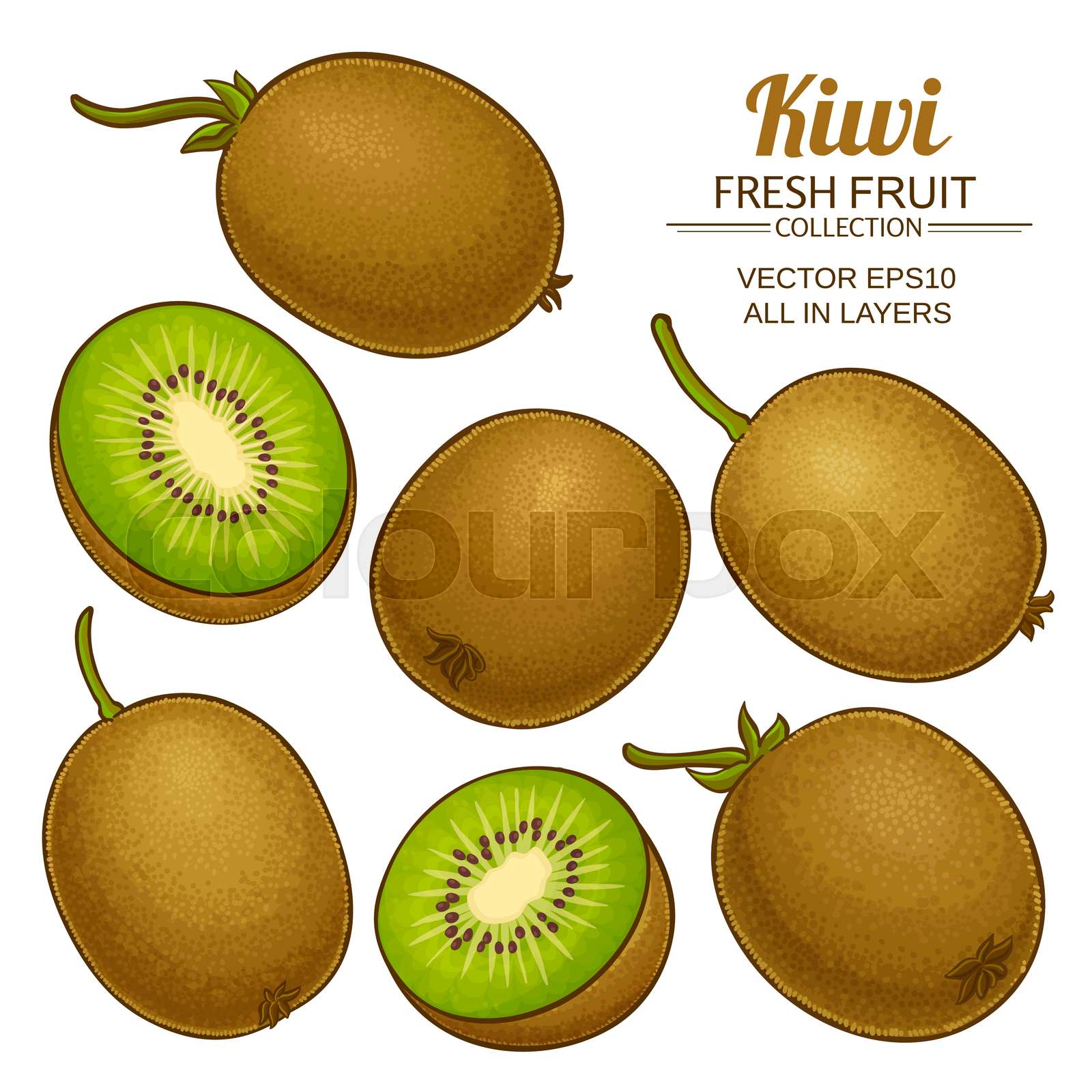 kiwi vector set | Stock vector | Colourbox