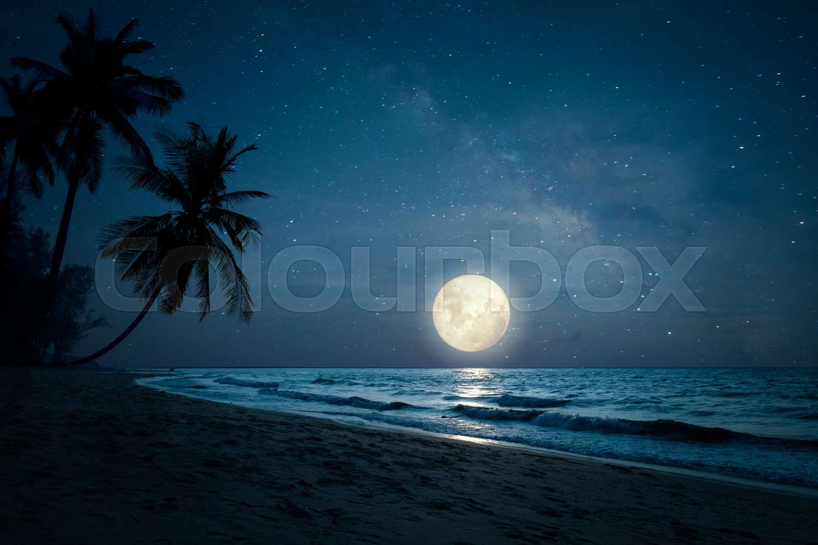 Full Moon Night Beach