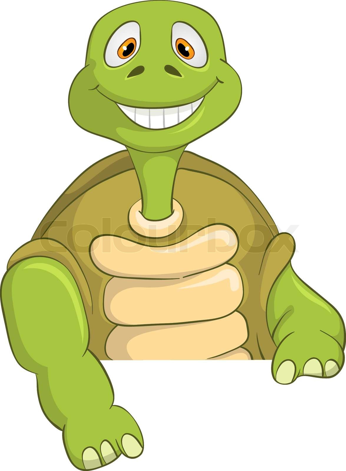 Funny Turtle | Stock vector | Colourbox
