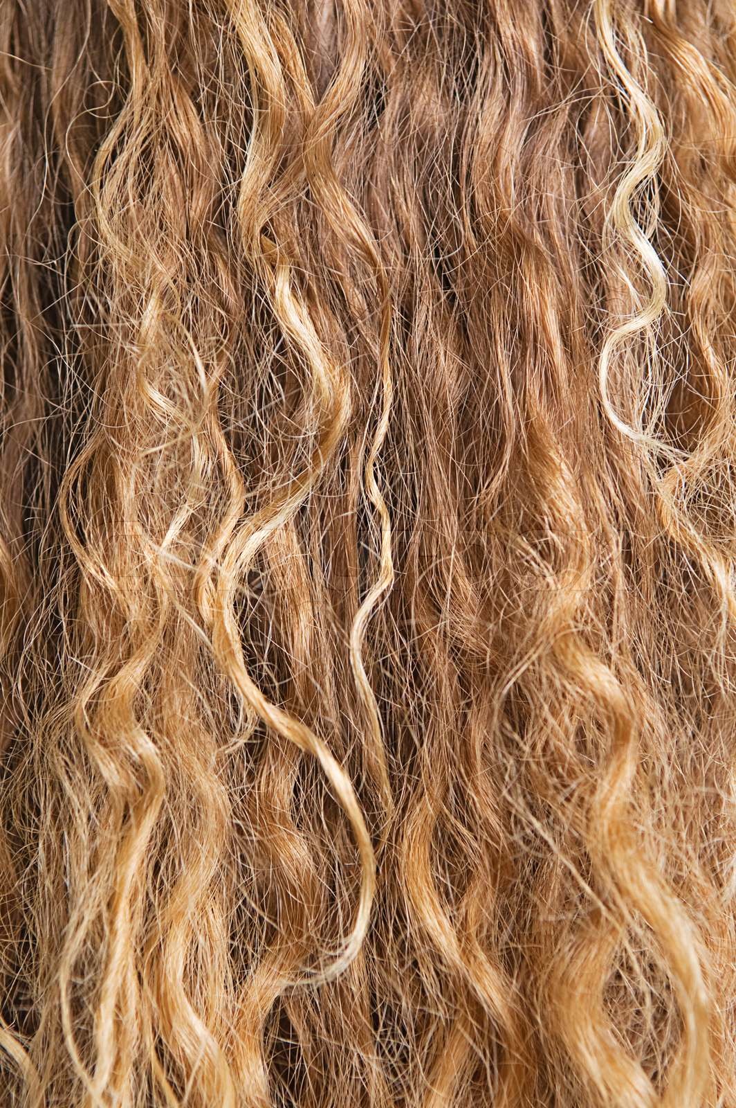 texture of blond hair | Stock image | Colourbox