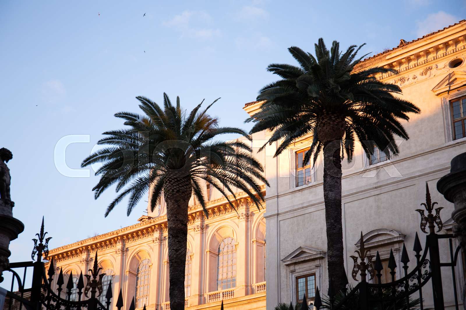 buildings and exotic palm trees in rome, italy | Stock image | Colourbox