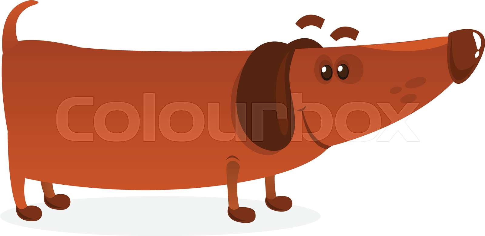 Cartoon Funny Weiner Dog. Vector Illustration | Stock vector | Colourbox