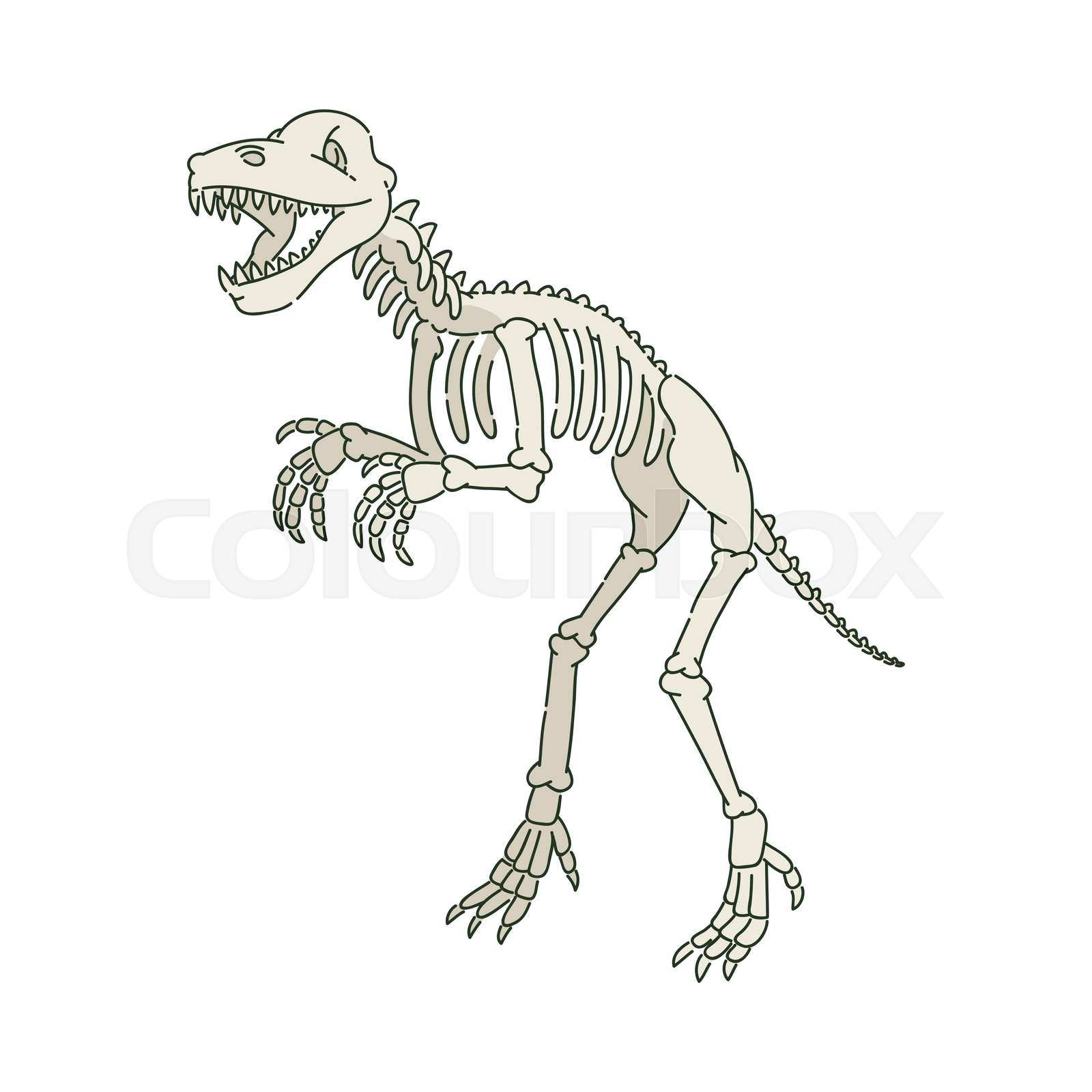 Ancient prehistoric dinosaur skeleton in sketch style | Stock vector ...