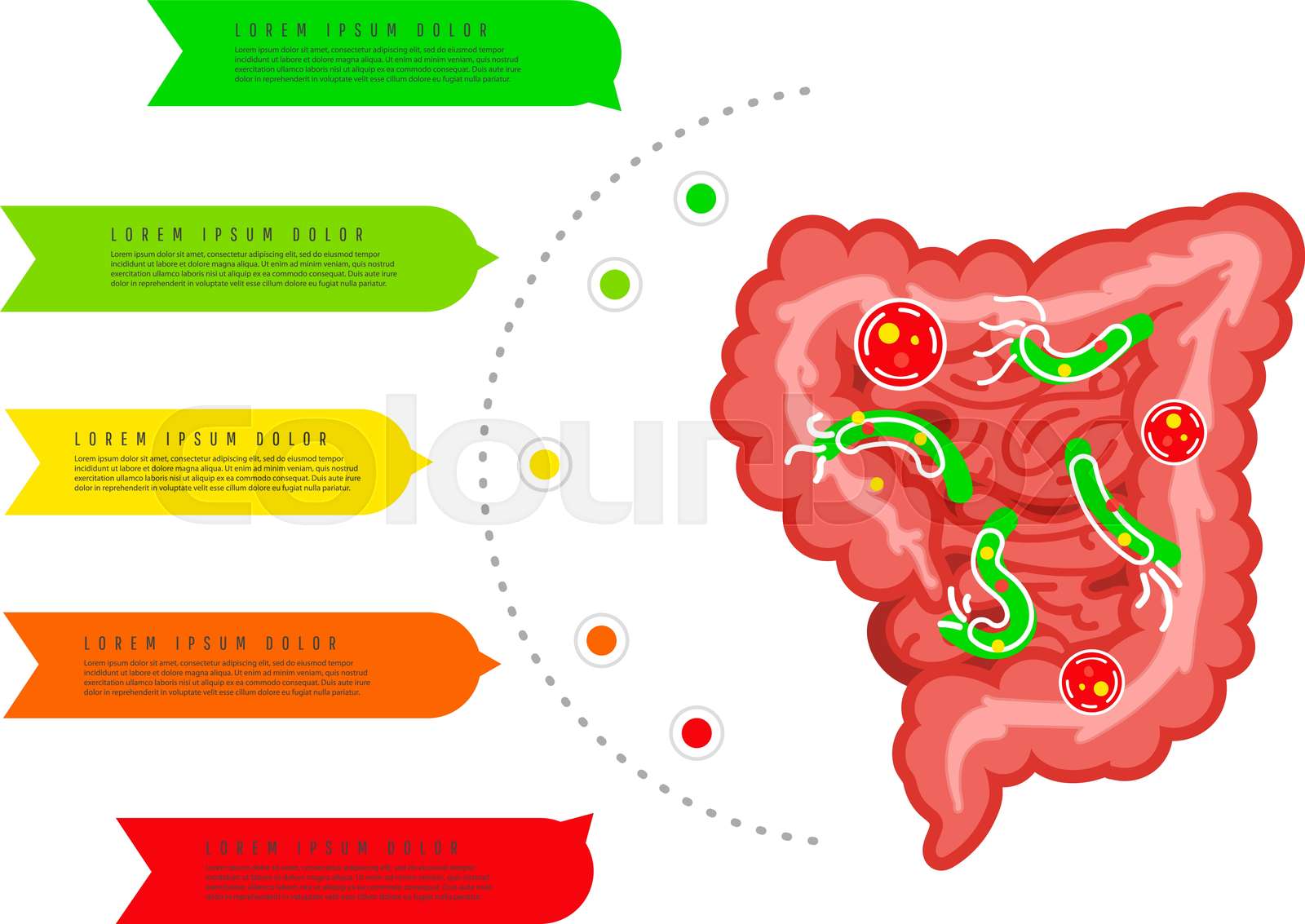 Digestive tract with bacteria, virus. Medicine, biology concept. Large ...