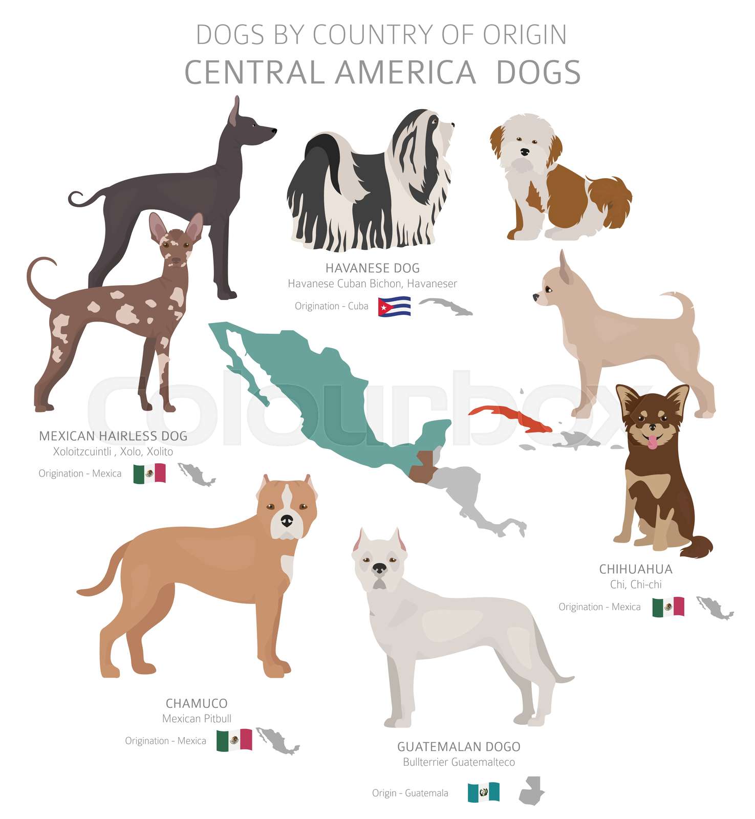 Dogs by country of origin. Central American dog breeds. Shepherds ...