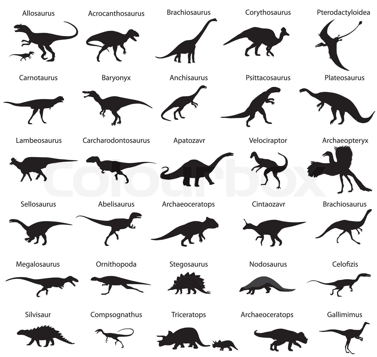 Dinosaurs Pictures And Names