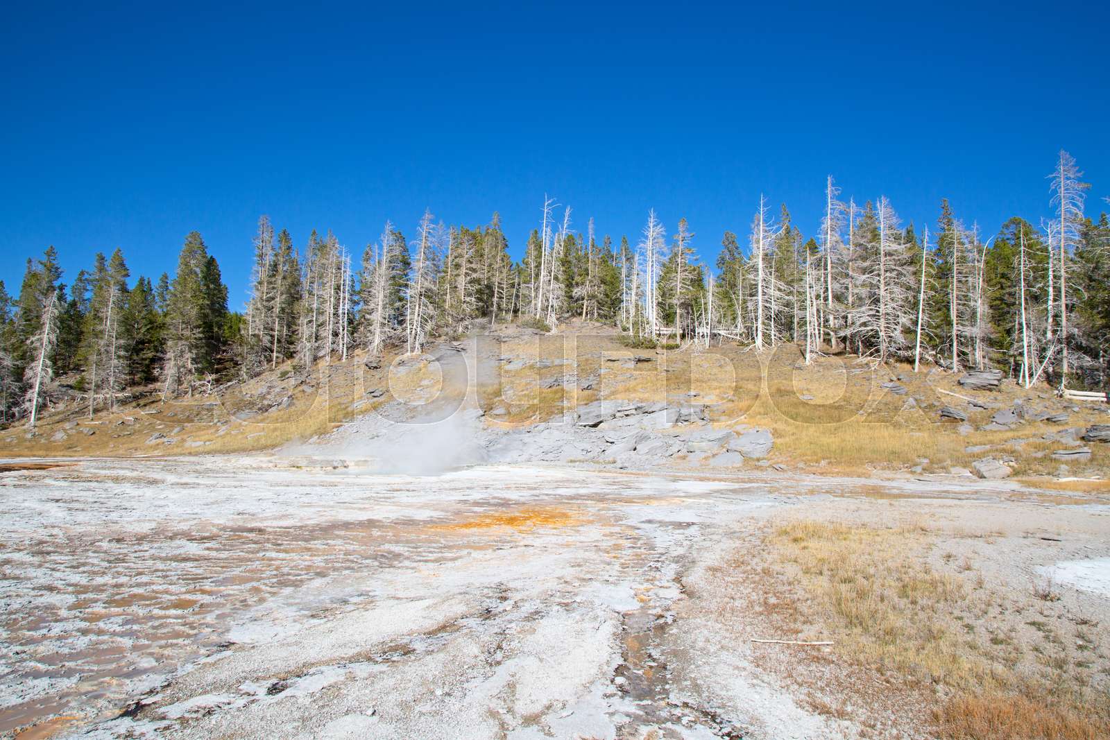 Black sands geyser basin | Stock image | Colourbox