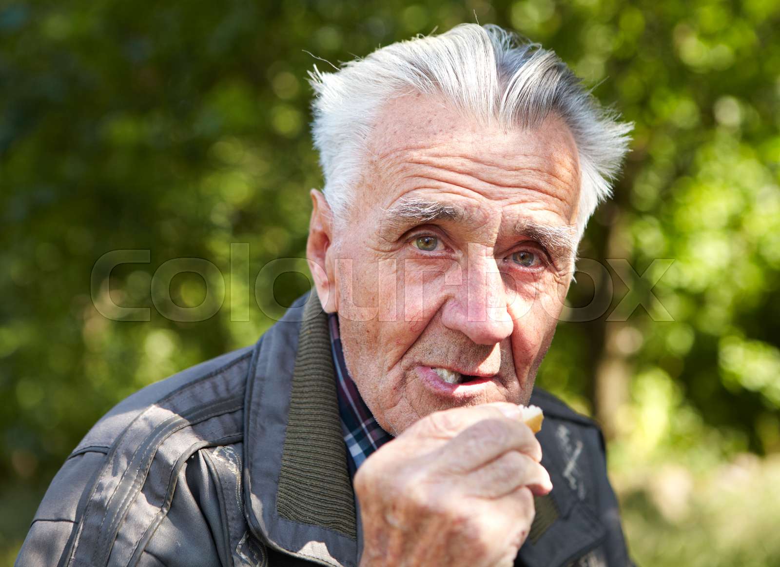 Elderly poor man eating bread | Stock image | Colourbox