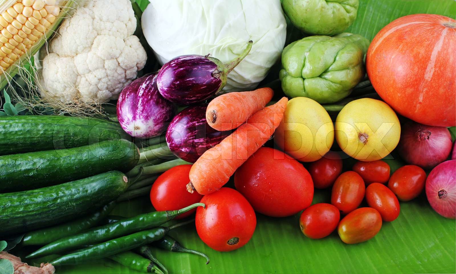 Fresh colorful vegetables from organic farm showing various vegtables ...