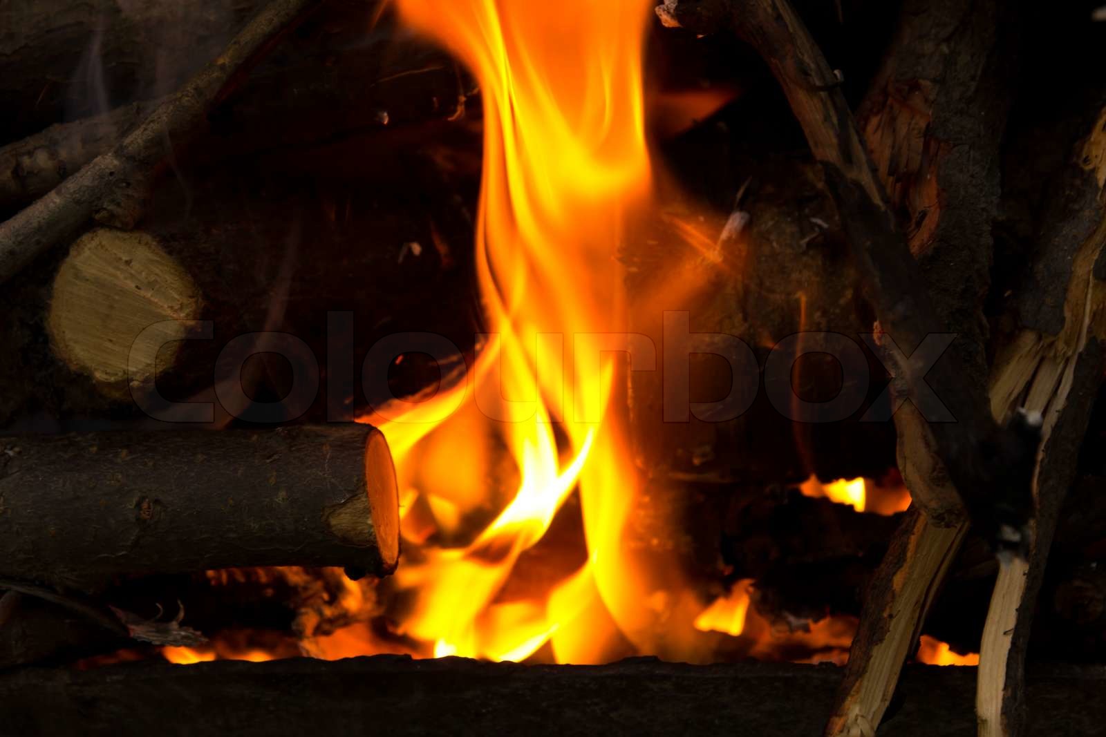 Fire, burning branches of a tree on a barbecue | Stock image | Colourbox
