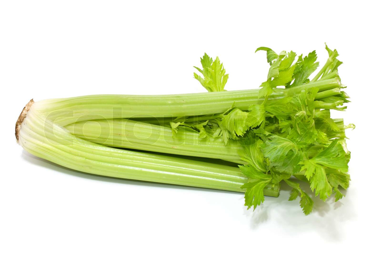 Sellerie isoliert auf weißem Hintergrund. | Stock Bild | Colourbox