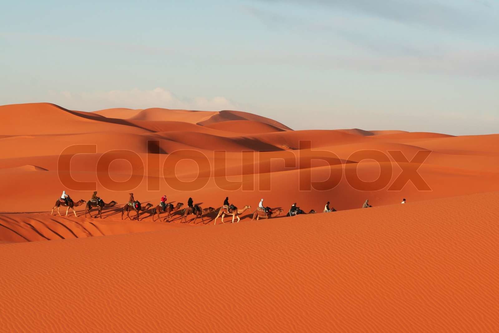 Caravan in Sahara desert | Stock image | Colourbox