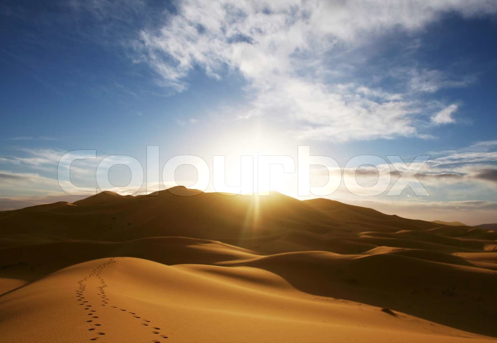 Desert on sunset | Stock image | Colourbox