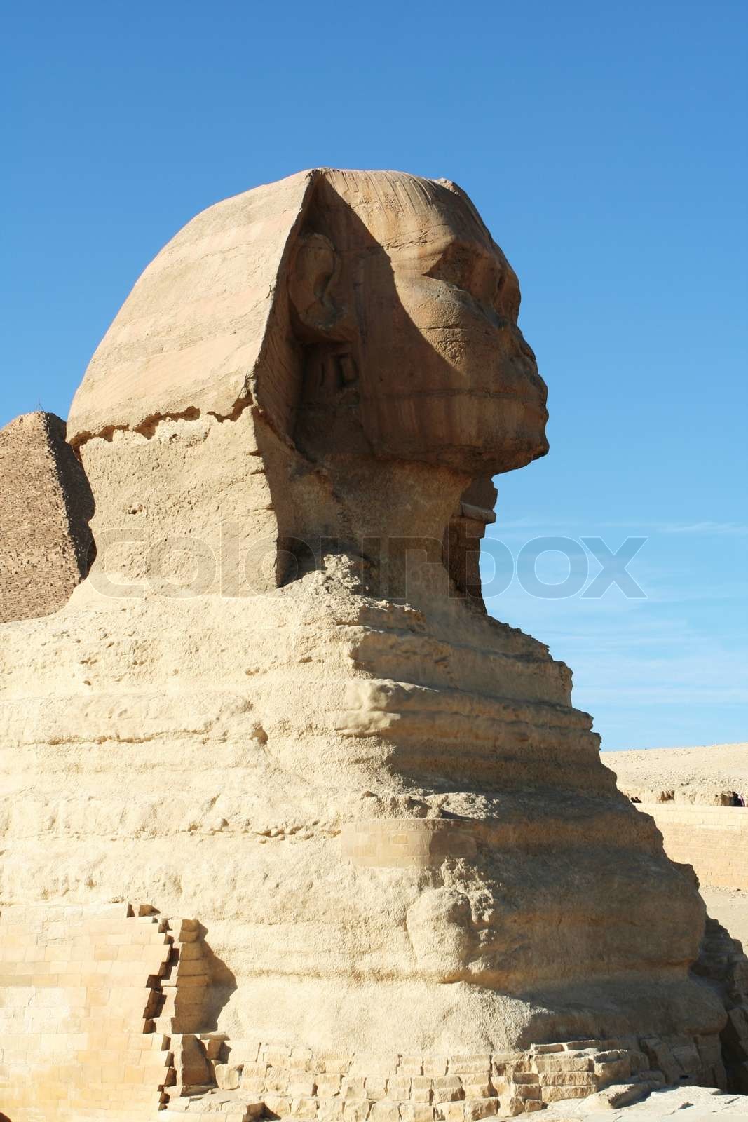 Egyptian sphinx | Stock image | Colourbox