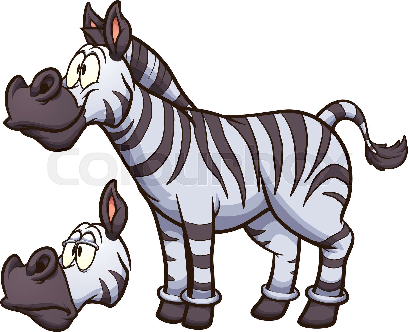 Cartoon zebra | Stock vector | Colourbox