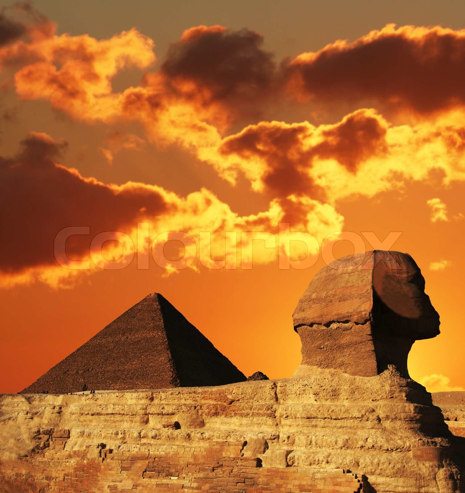 Sphynx | Stock image | Colourbox