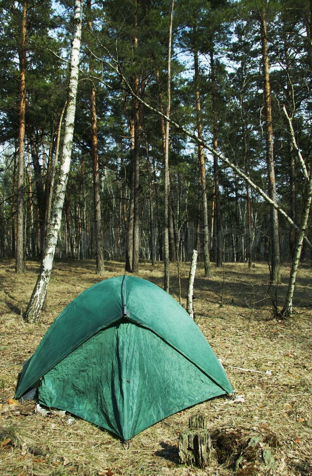 Tent in forest | Stock image | Colourbox