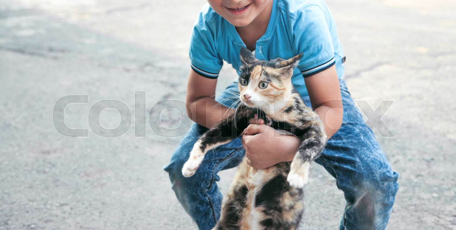 Little boy and cat in outdoors. | Stock image | Colourbox