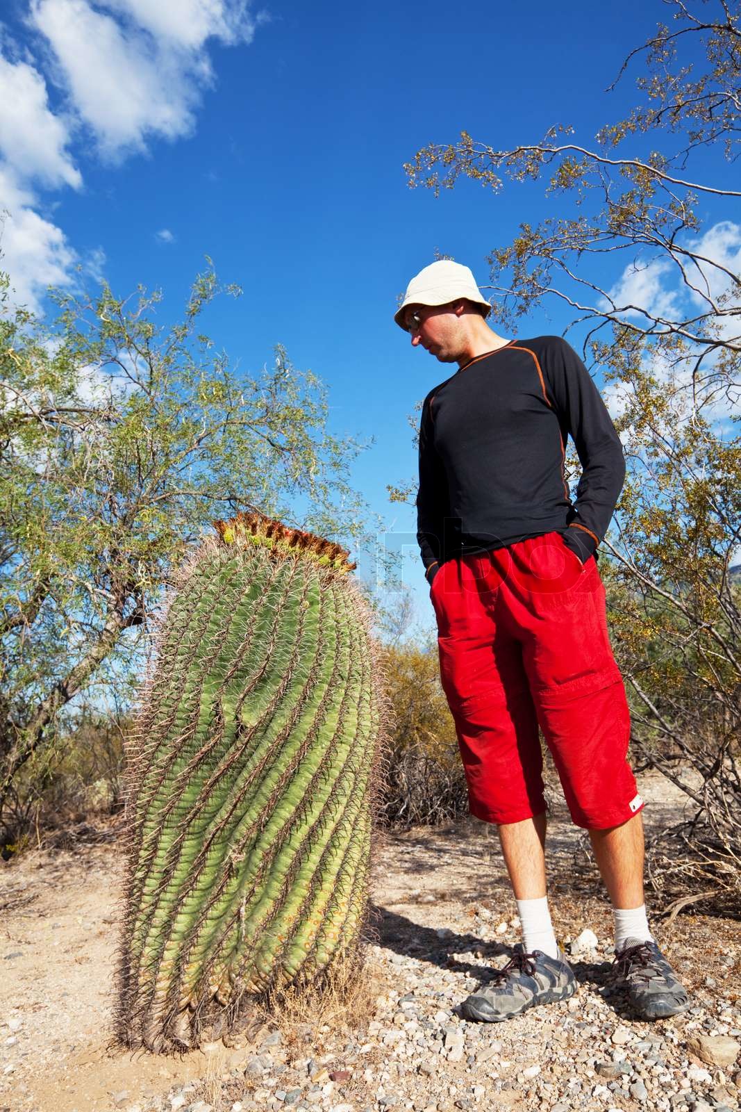 Cactus and man | Stock image | Colourbox