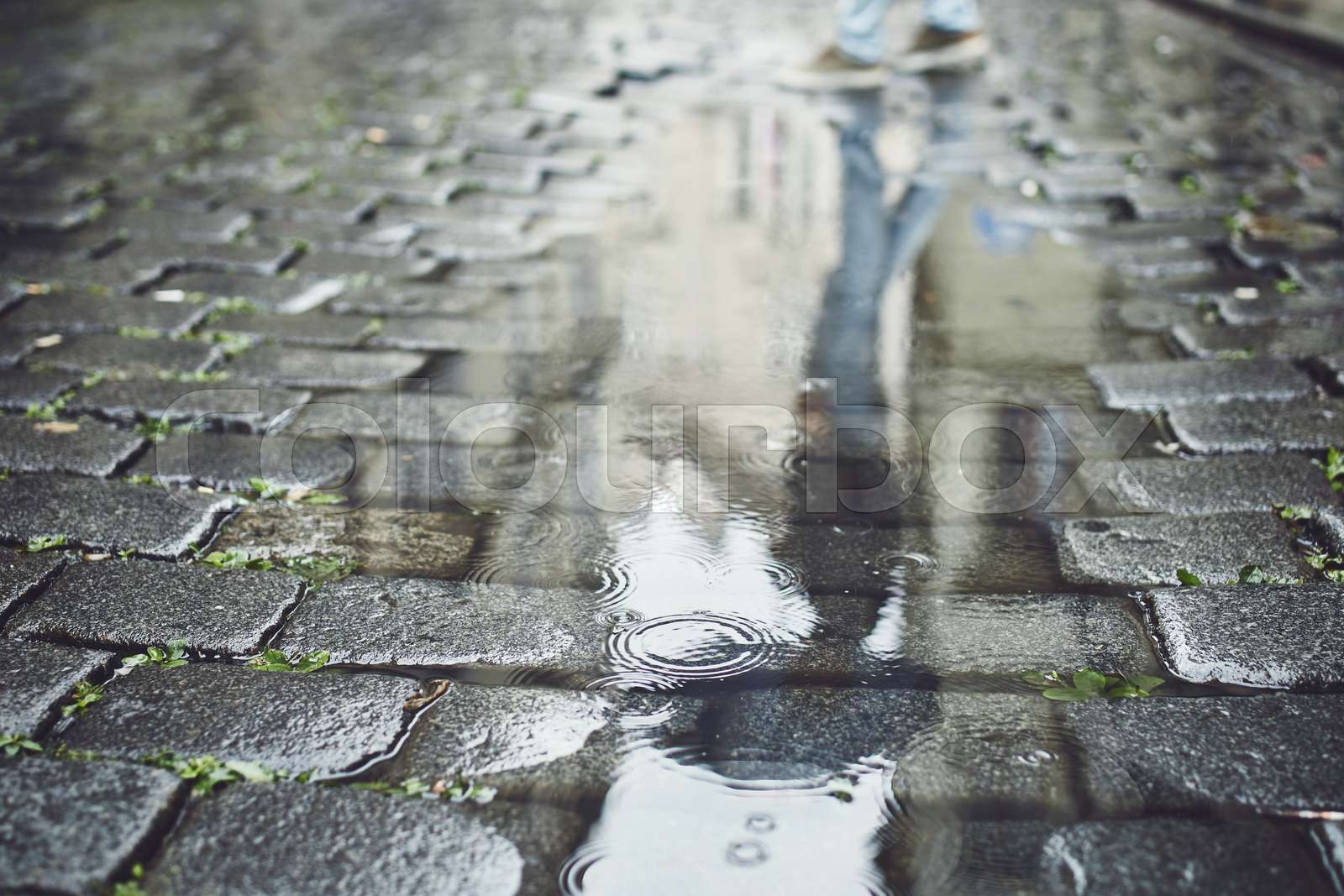 Reflection in puddle | Stock image | Colourbox
