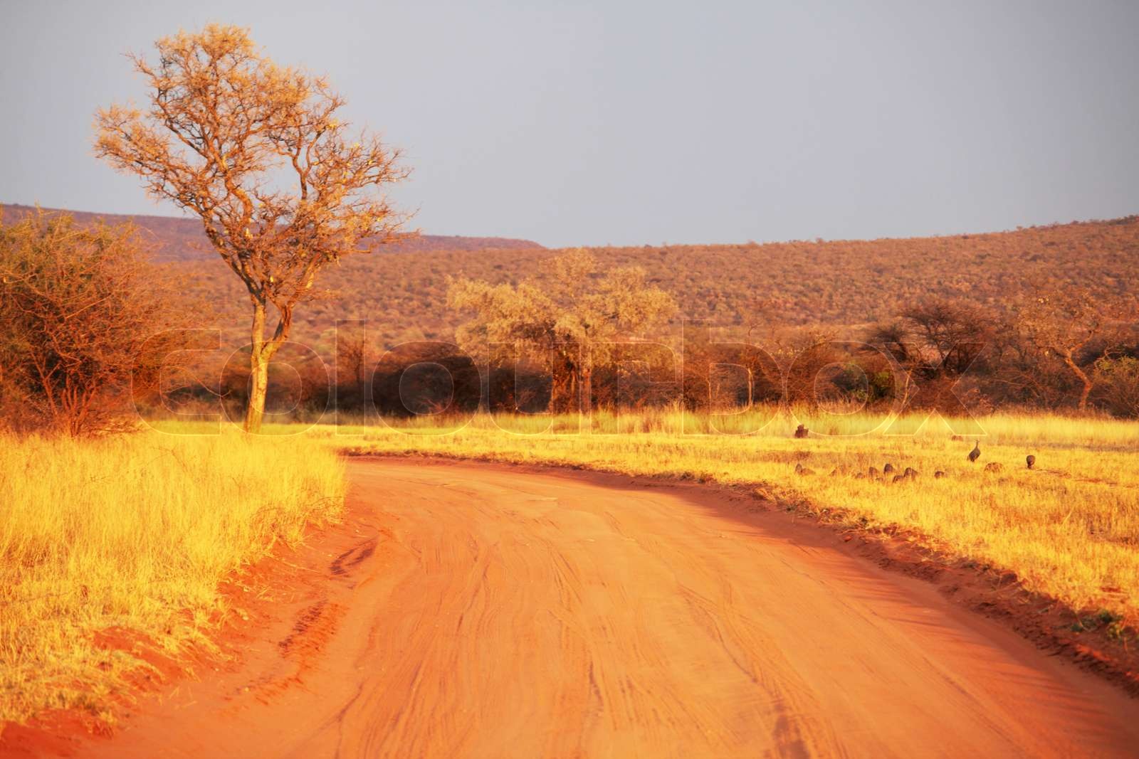 African landscapes | Stock image | Colourbox