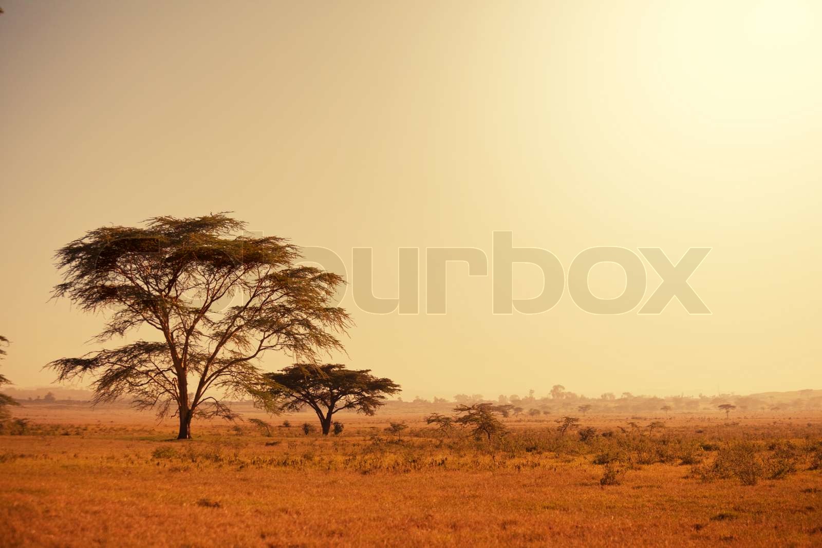 African landscapes | Stock image | Colourbox