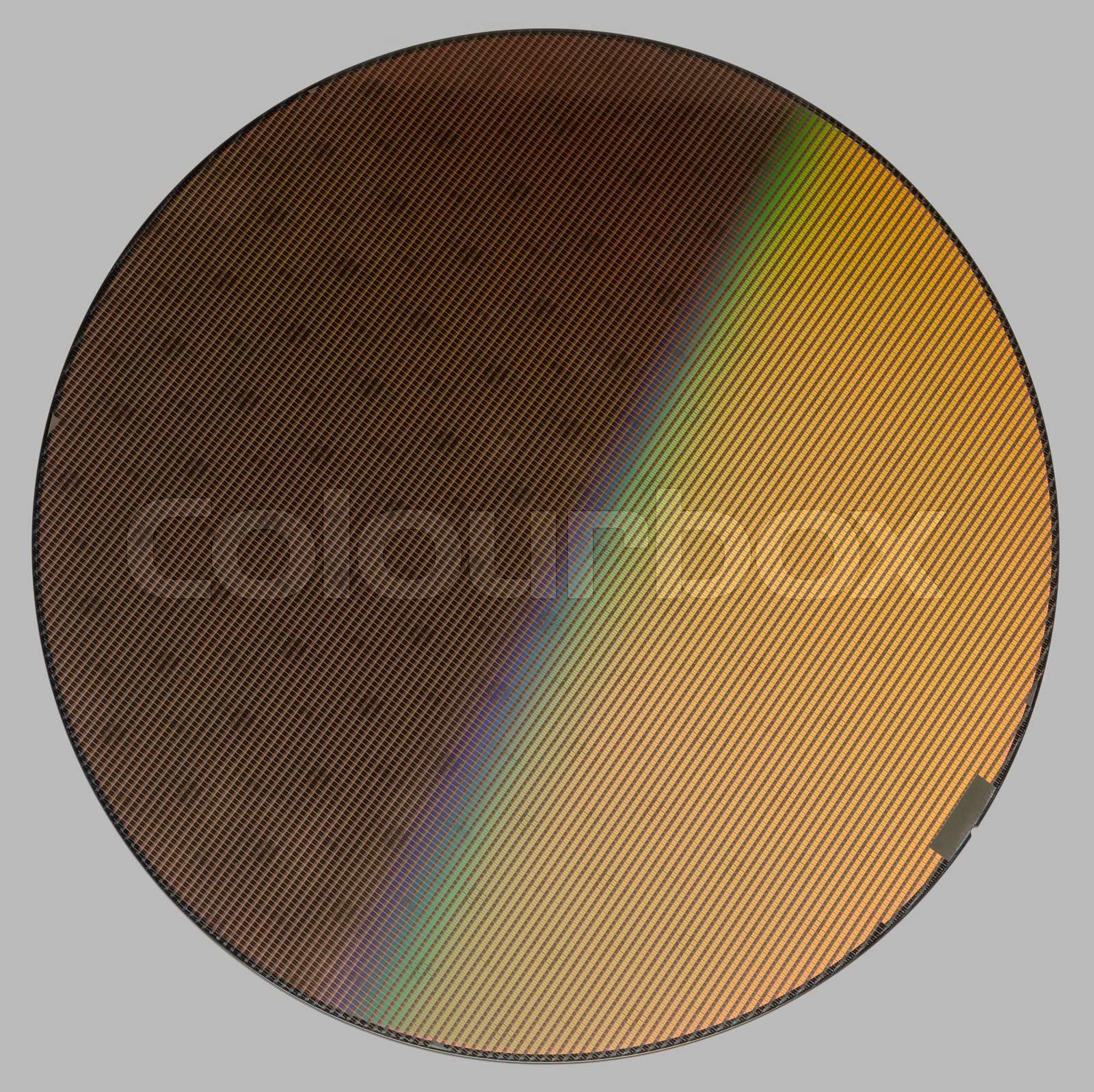 Wafer | Stock image | Colourbox