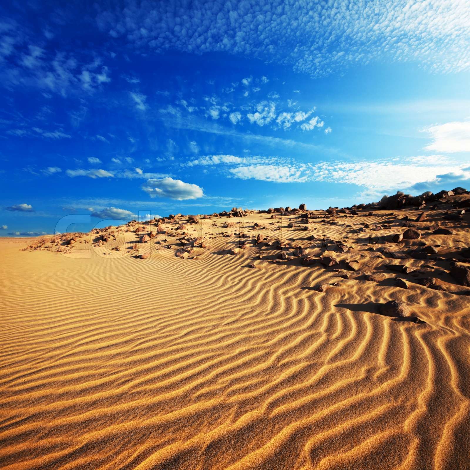 Desert | Stock image | Colourbox