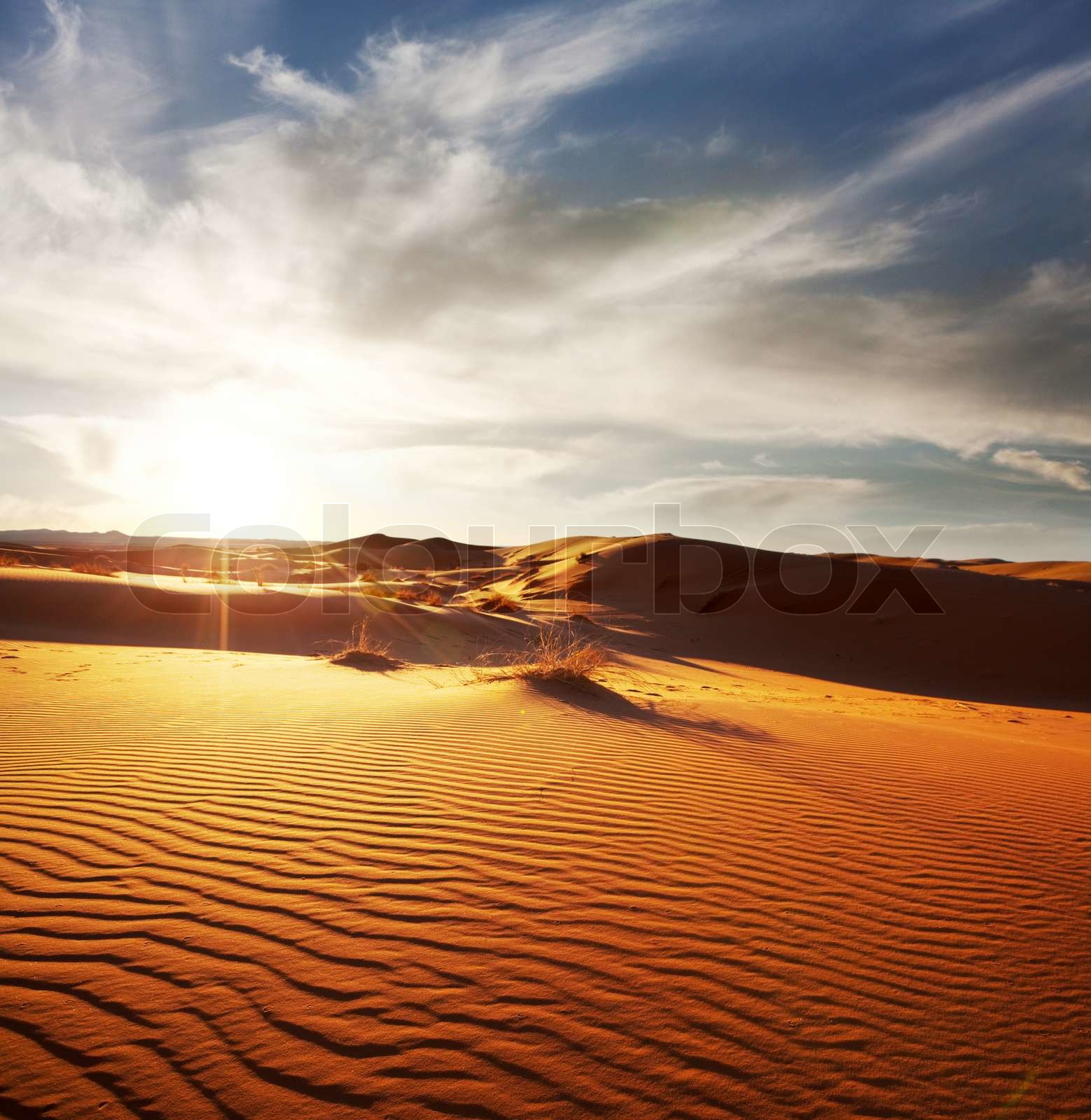 Desert | Stock image | Colourbox