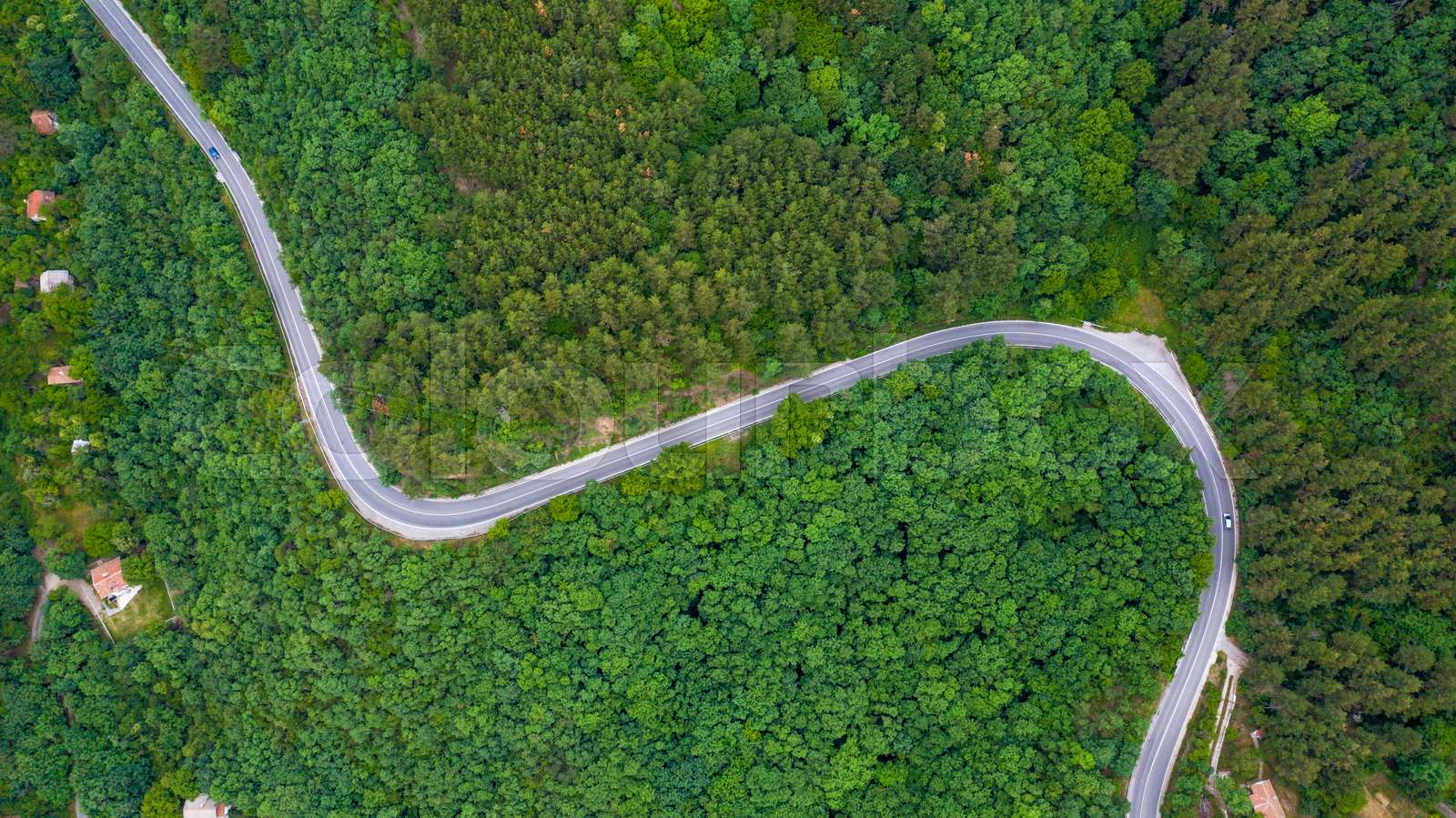Aerial view of winding road trough the dense woods. | Stock image | Colourbox