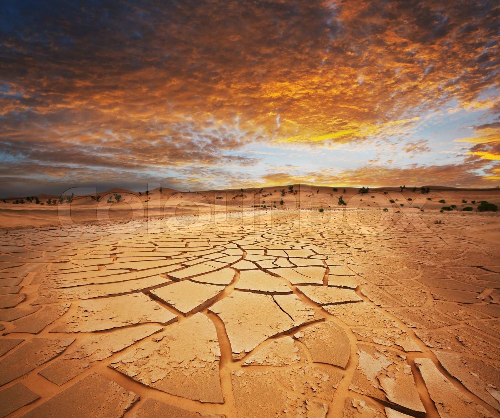 Drought land | Stock image | Colourbox