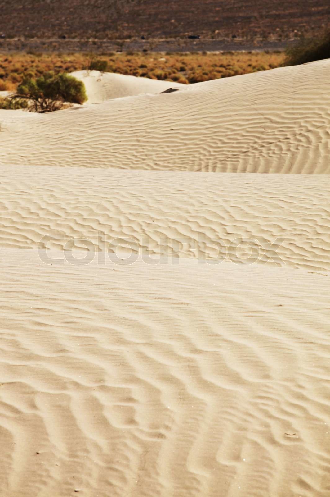Dune | Stock image | Colourbox