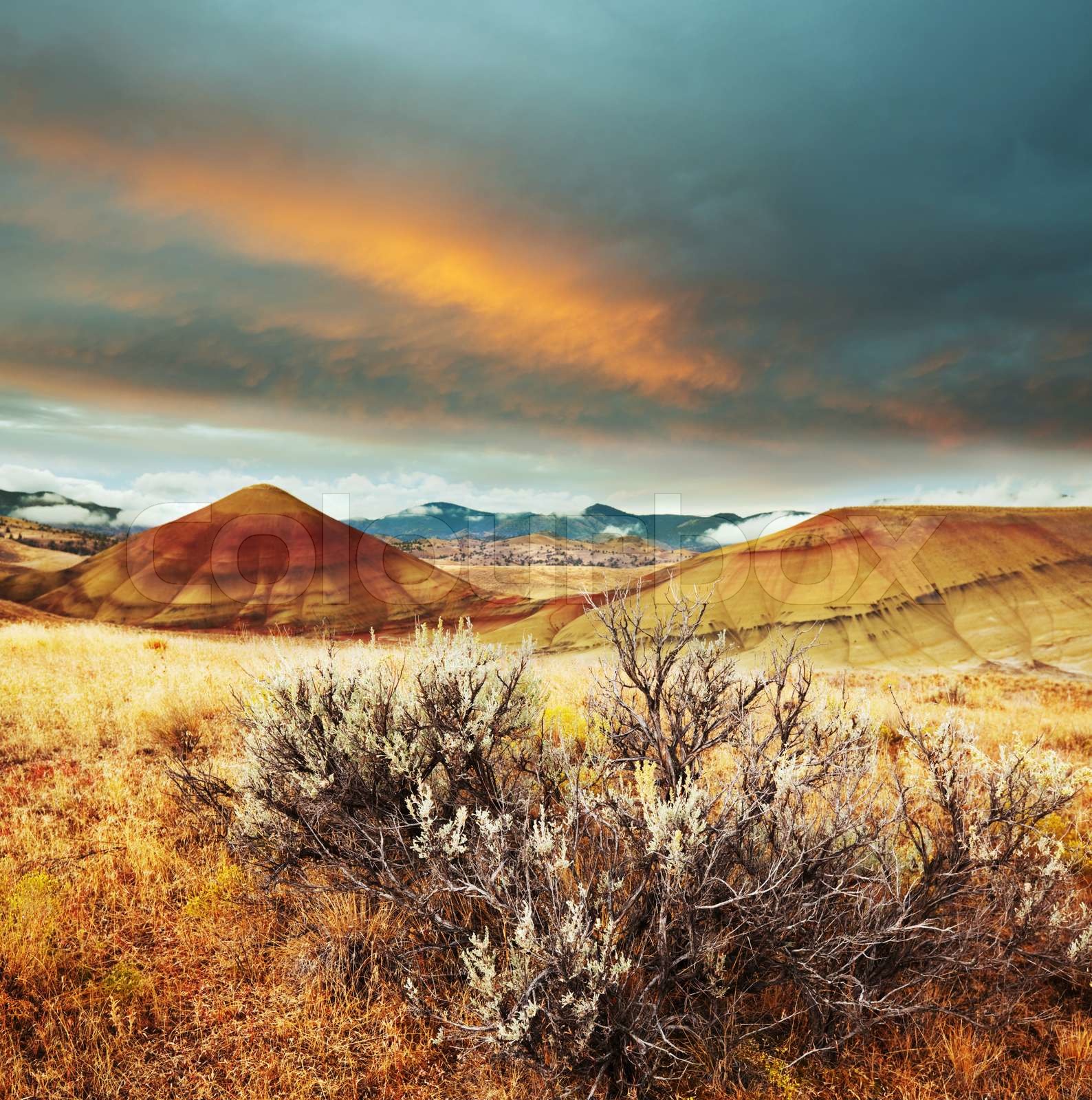 Prairie | Stock image | Colourbox